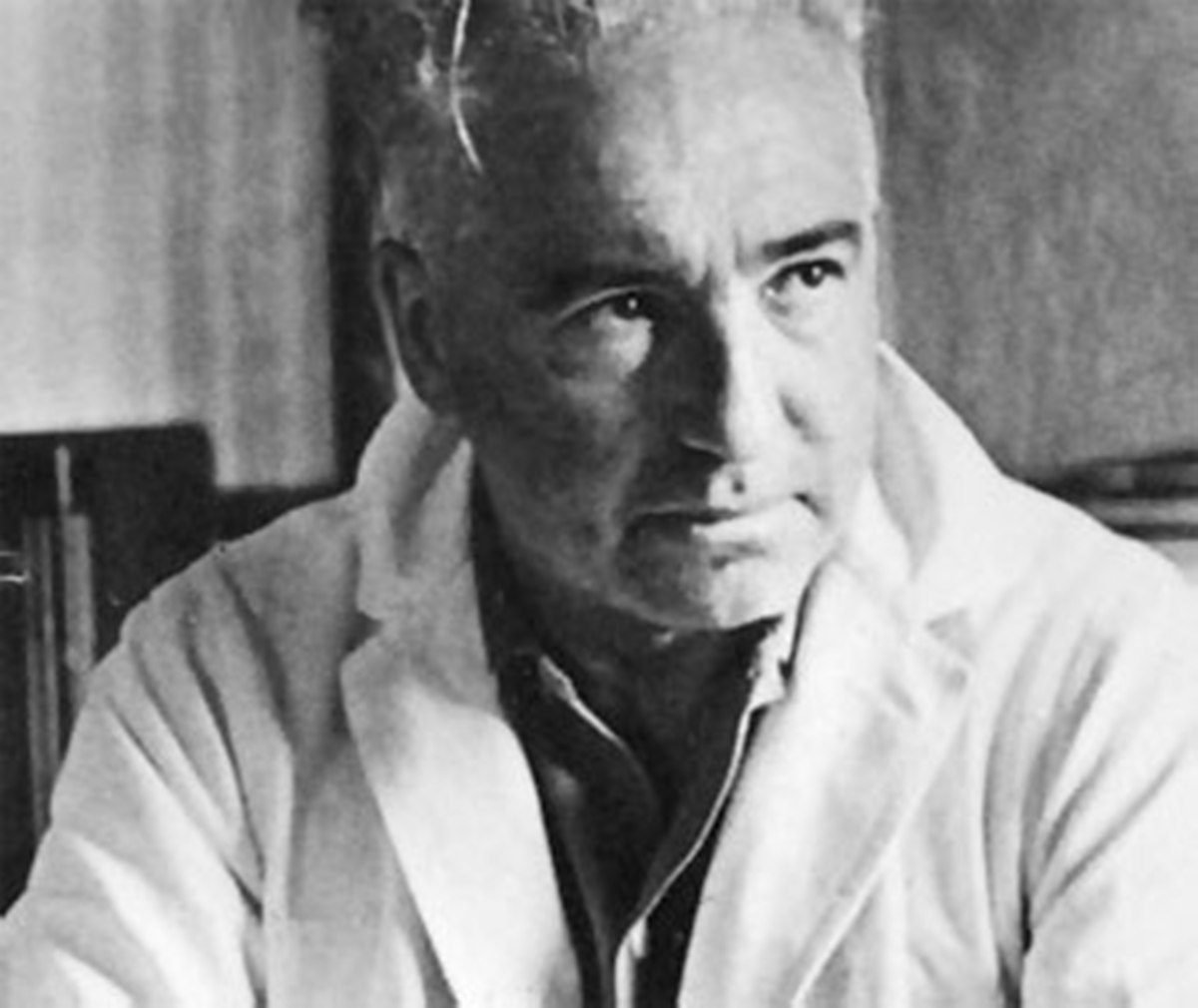 Wilhelm Reich: Conheça a trajetória do criador da Caixa Orgônica ...
